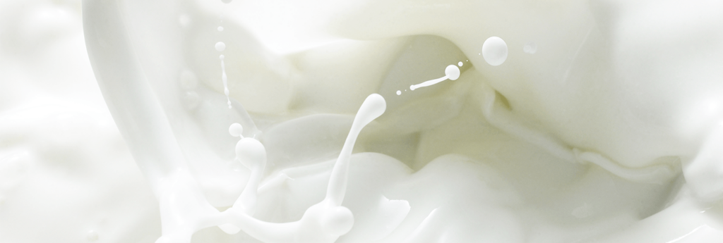 Nos marques | Lactalis Foodservice