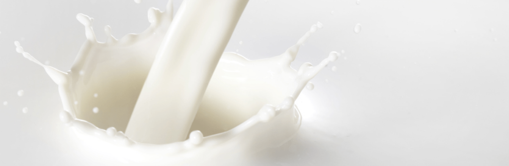 Le fromage Rouy, au goût riche en saveurs | Lactalis Foodservice